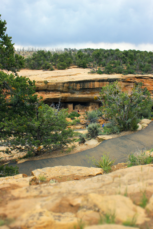 MESA VERDE DAY 2 , East Side - Part One with Balcony House, Spruce Tree ...