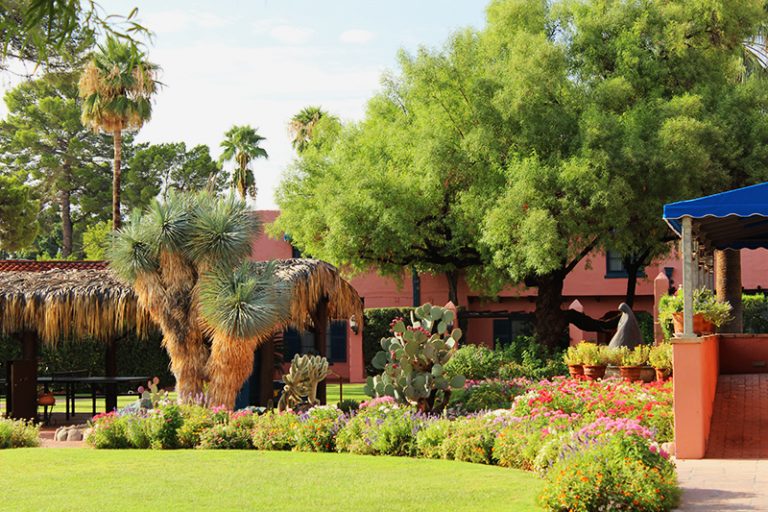 7 Reasons To Love Tucson's Most Elegant Valentine, The Arizona Inn ...