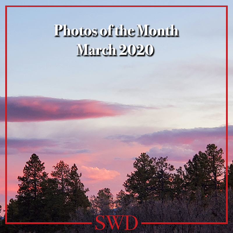 PHOTOS OF THE MONTH - MARCH 2020 - Southwest Discovered