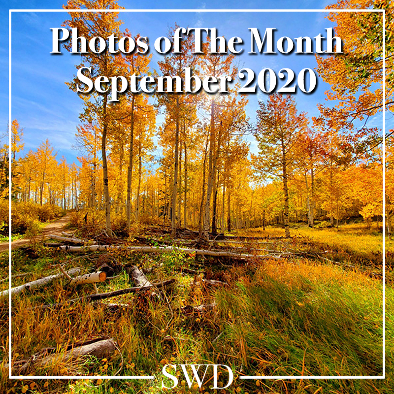 PHOTOS OF THE MONTH – September 2020 - Southwest Discovered